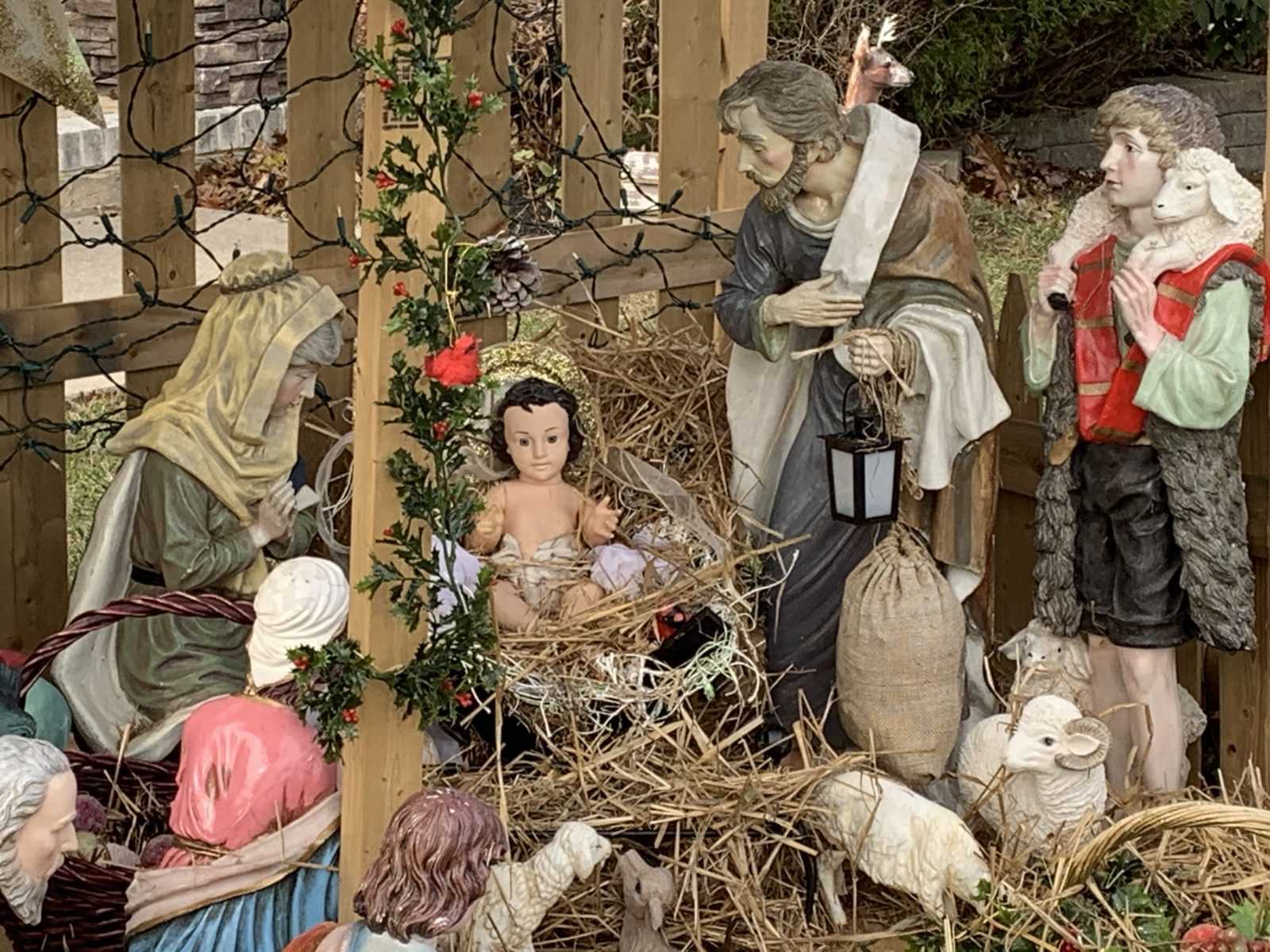 APPRECIATING THE HUMANITY OF JESUS OF BETHLEHEM | Friends of the Word ...